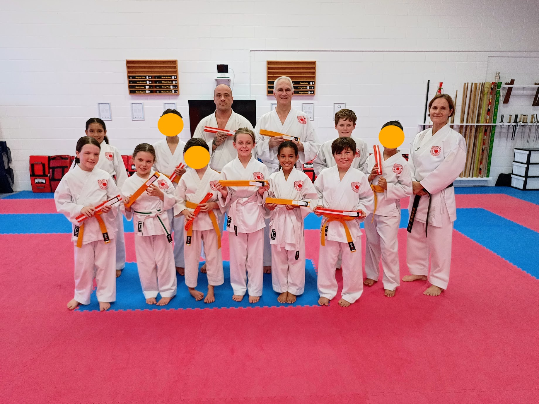 Karate Kyu Grading Results - Sunshine Coast Karate